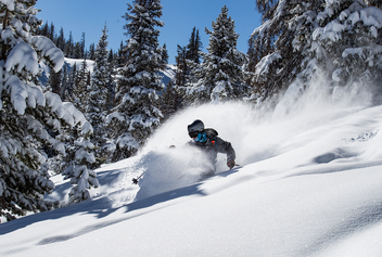 BMF/3 Telemark Ski Binding | Bishop Telemark